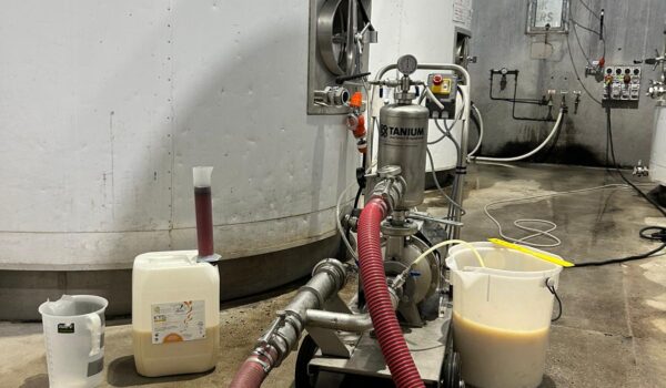 Flotation Trials with KTS Flot® 2023 - Grapeworks - Tanium ...